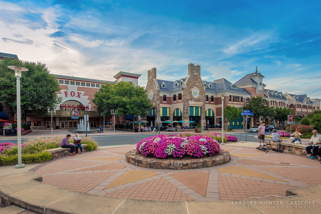 New York Wholesale Distributors - AJ Globals